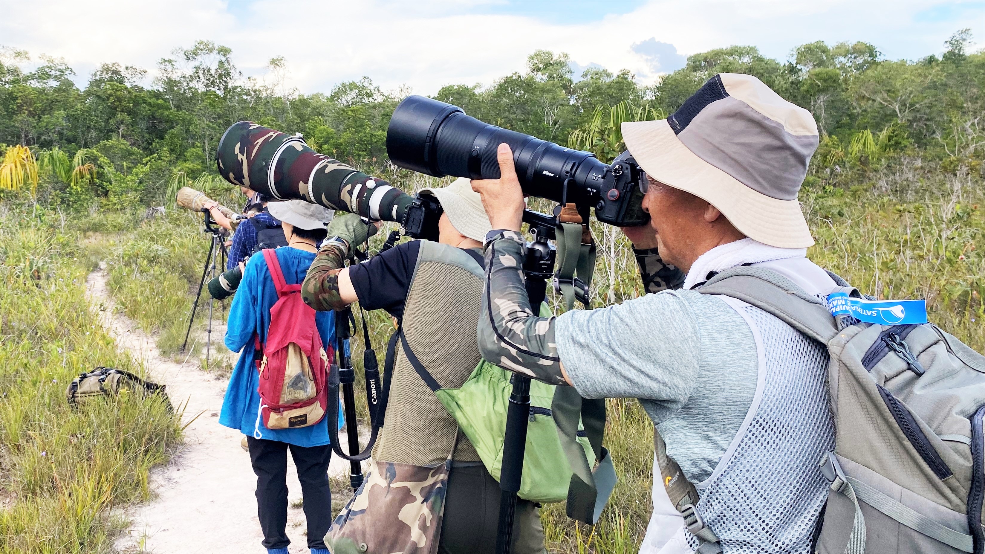 Tour Especializado de Avistamiento de Aves en Guainía 7 días 6 noches ...